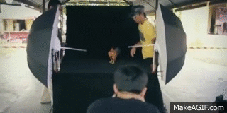 The Bizarre World of Chicken Beauty Pageants Photographed by Ernest Goh ...