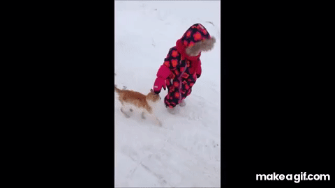 Cat Takes Down Kid for Ignoring It. KO on Make a GIF