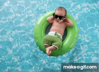 Baby Inktvis Gif Penguin Love, Reblogs, & All Around Awesomeness