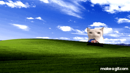 cat eating chips windows wallpaper on Make a GIF