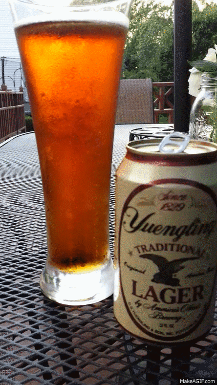 Yuengling on Make a GIF