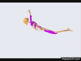 AnyBody: Swimming-Backstroke, Breast, Butterfly, FreeStyle. on Make a GIF