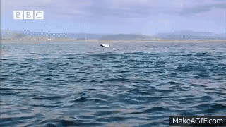 Do a flip! on Make a GIF
