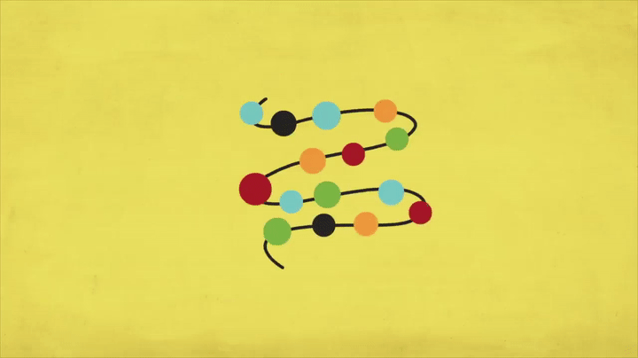 How your digestive system works - Emma Bryce on Make a GIF