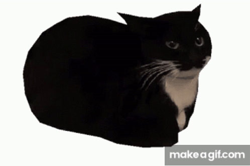 Maxwell Cat Sticker â Maxwell Cat Spinning â discover and share GIFs on ...