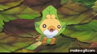 A Sewaddle on Make a GIF