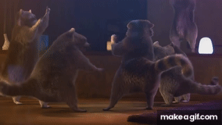 Raccoon Dance Party on Make a GIF