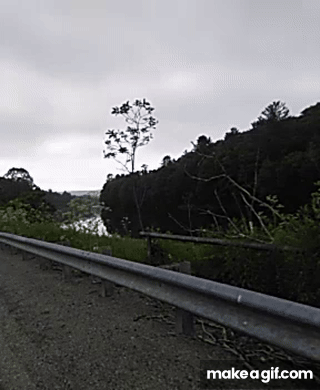 XyprC8 is an Animated GIF Image on Make a GIF