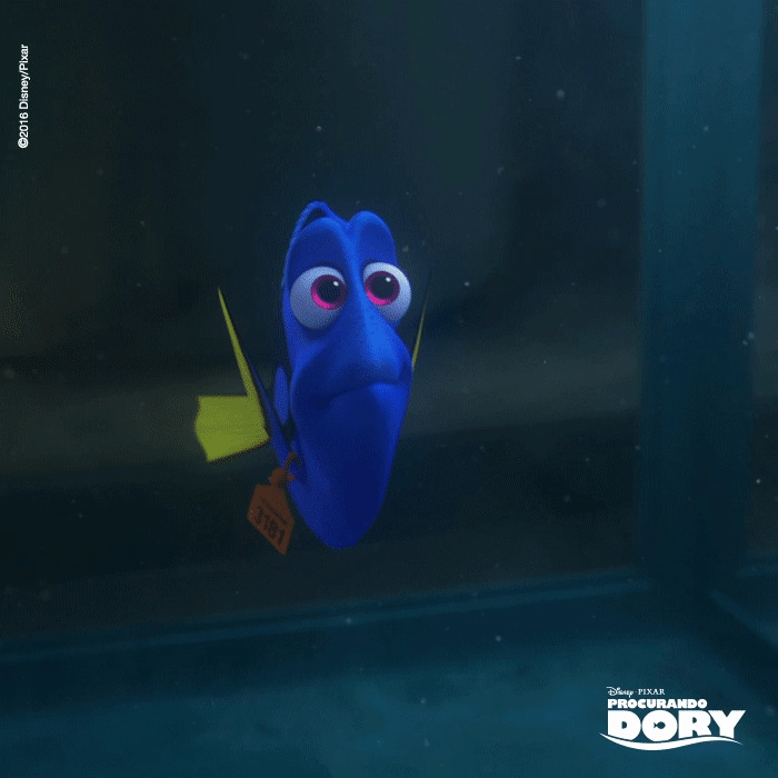 Procurando Dory on Make a GIF