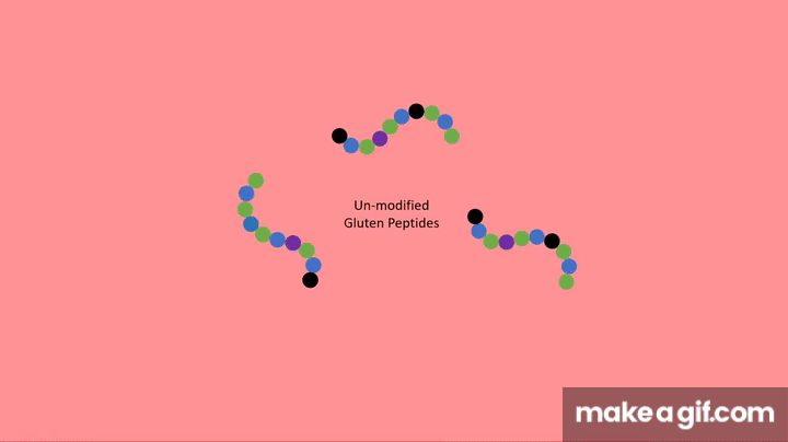 Celiac Disease and Gluten on Make a GIF