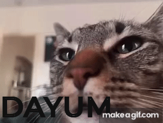 Dayum Animated Gif Oh Damn Surprised Youtuber GIF | GIFDB.com