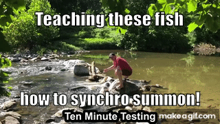 MBT teaching fish to synchro summon on Make a GIF