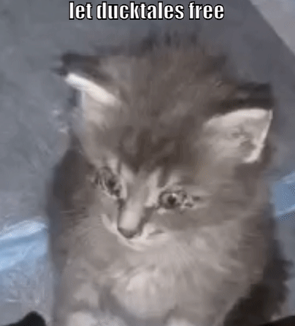 LET HIM FREE on Make a GIF