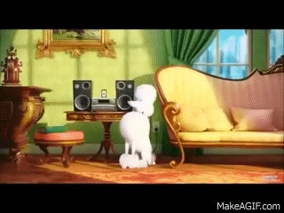Poodle (Dog) is Headbanging on System of a Down - Bounce (Full Song ...