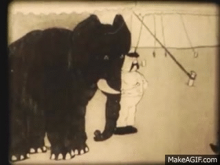 Bobby Bumps at the Circus (1916) J.R. Bray Studios, Earl Hurd on Make a GIF
