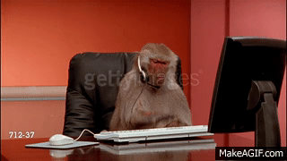 Monkey Support on Make a GIF