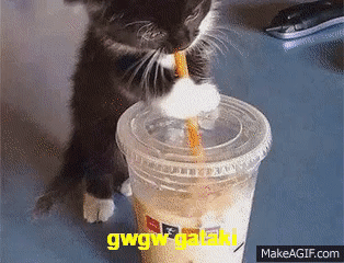 GWGW GIF on Make a GIF
