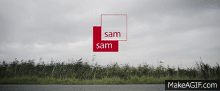 How your dog loves to see the world: SamSam bicyclesidecar for dogs on ...