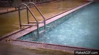 rain in swimmingpool on Make a GIF