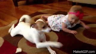 CrawlingRace on Make a GIF