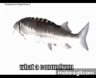 spinning fish.mp4 on Make a GIF