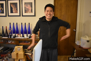 MAX_MOVES on Make a GIF