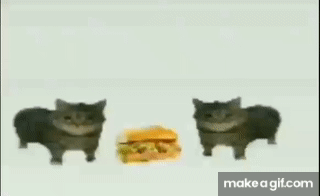 Sandvich Gif Ice Cream Sandwhich Cake Ice Cream Sandwich Gif