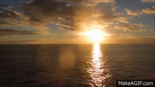 Most Beautiful Hd Gif Roses Gif IceGif