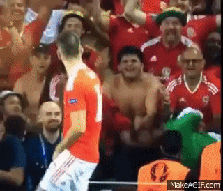 Welsh Joe Ledley Celebrating Win vs Russia with Dance(Euro 2016) on ...