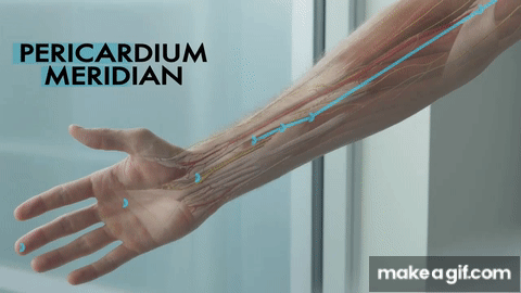 The scientific basis of acupuncture meridians on Make a GIF
