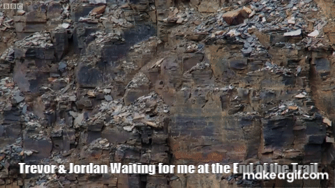 Baby Chick Jumps Off Cliff | Life Story | BBC Earth on Make a GIF
