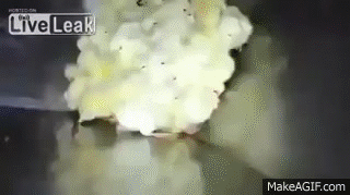 Chick Culling By Maceration [WARNING GRAPHIC CONTENT ] on Make a GIF