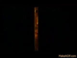 hello poppet on Make a GIF