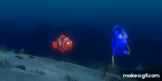 Dory Memory Gif Finding Nemo Dory Swimming Animated GIF | TikTok