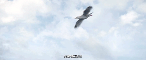 Let’s fly! on Make a GIF