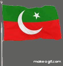 Pti Flag on Make a GIF