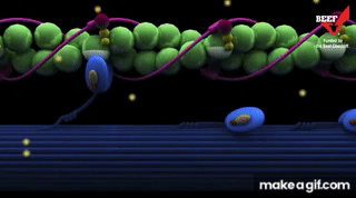 Rigor Mortis on Make a GIF