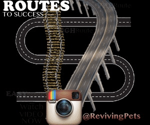 ROUTES TO SUCCESS - What ROUTE Are You On? EASY Route, TOUGH Route, or ...