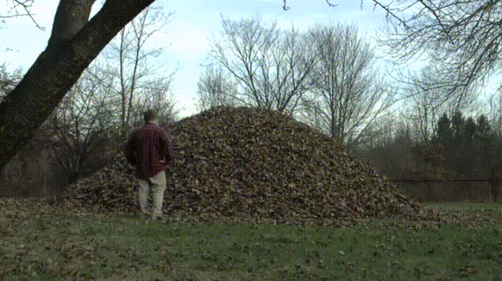 Jumping in a big pile of leaves on Make a GIF