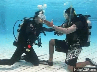 Scuba Diving Buddy Breathing (PADI) on Make a GIF