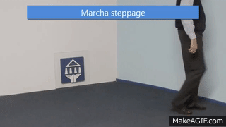 Marcha Steppage on Make a GIF