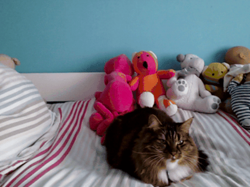 Multitasking on Make a GIF