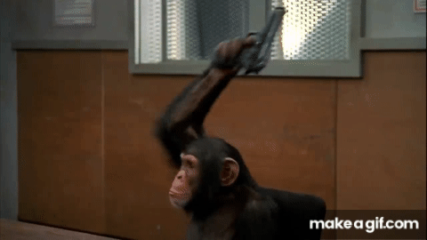 Can a Chimpanzee Fire a Gun? | Monk on Make a GIF
