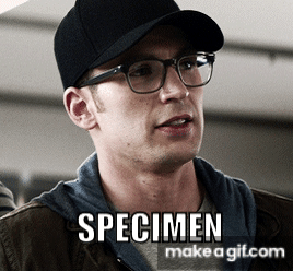 Specimen on Make a GIF