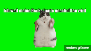 Cat Dancing to Wop | Green Screen on Make a GIF