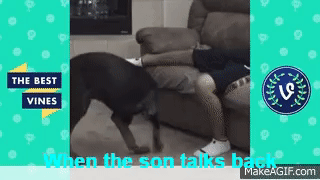 Best Fails Vines Compilation | Top Fail Vines May 2016 on Make a GIF