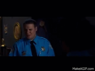 Observe And Report Flasher Gif