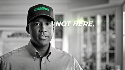Terminix Commercials - Warriors on Make a GIF