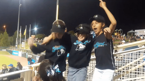 Little Girls Dancing At ABQ Isotopes Game on Make a GIF