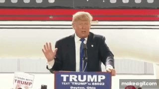 Donald Trump Gets Scared at Rally, Secret Service Rescue Him on Make a GIF